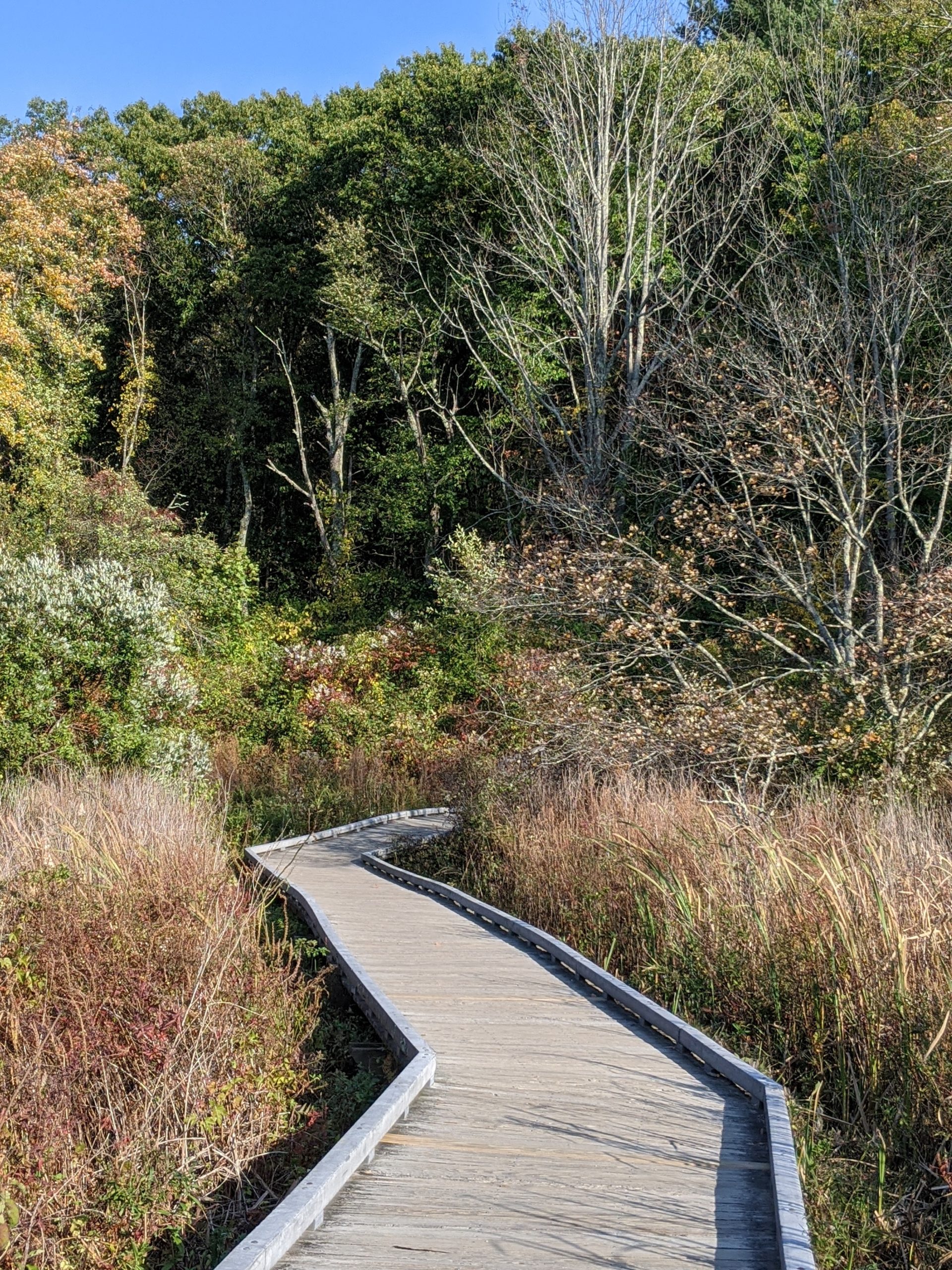 Minuteman Rail Trail- Pedal Through History - Fit & Fun Travel